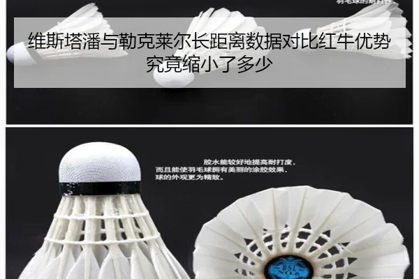 维斯塔潘与勒克莱尔长距离数据对比红牛优势究竟缩小了多少 - 南宫体育